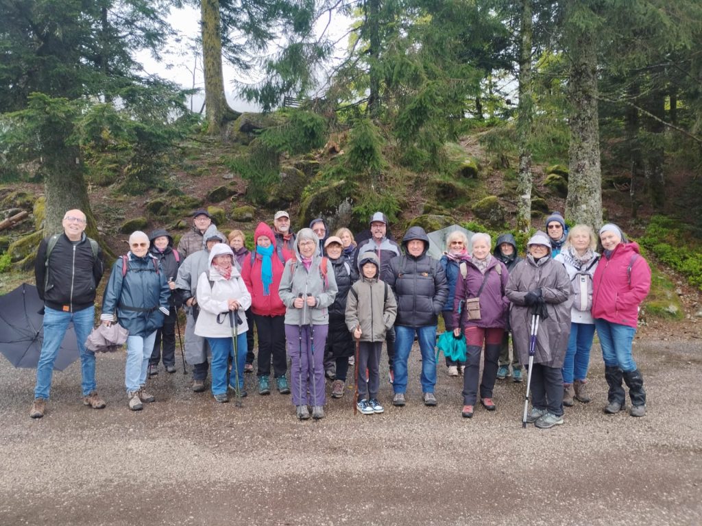 Balade à la Bresse dans le massif des Vosges - GE - Mars 2025 - CRM - Macif